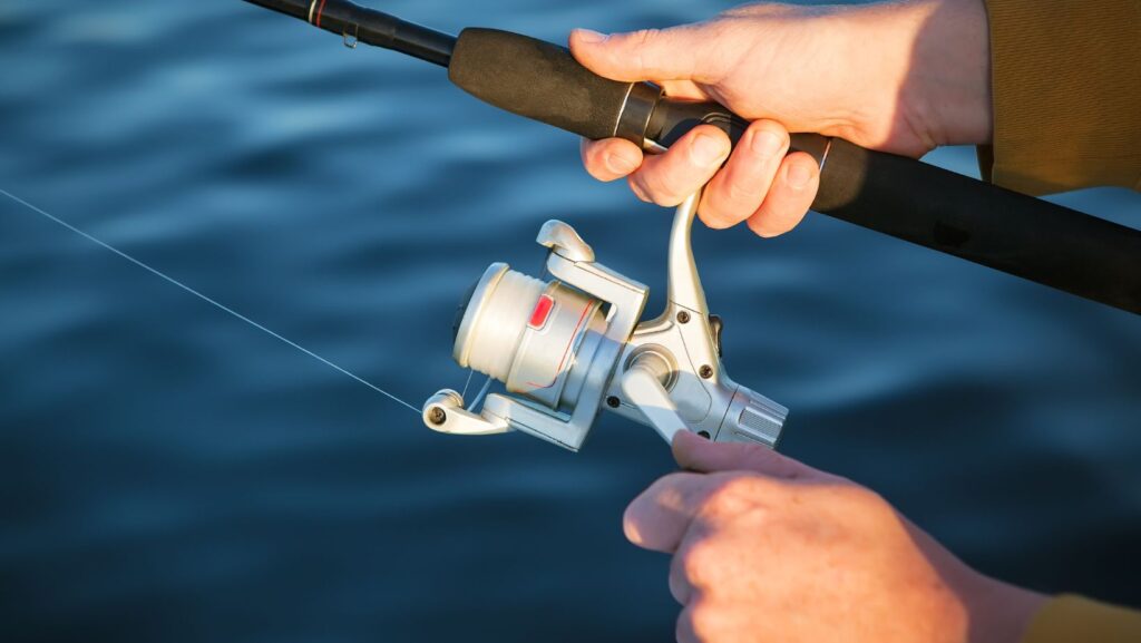 Ultimate Guide to Terraria Fishing: Gear, Quests & Rare Catches - www ...